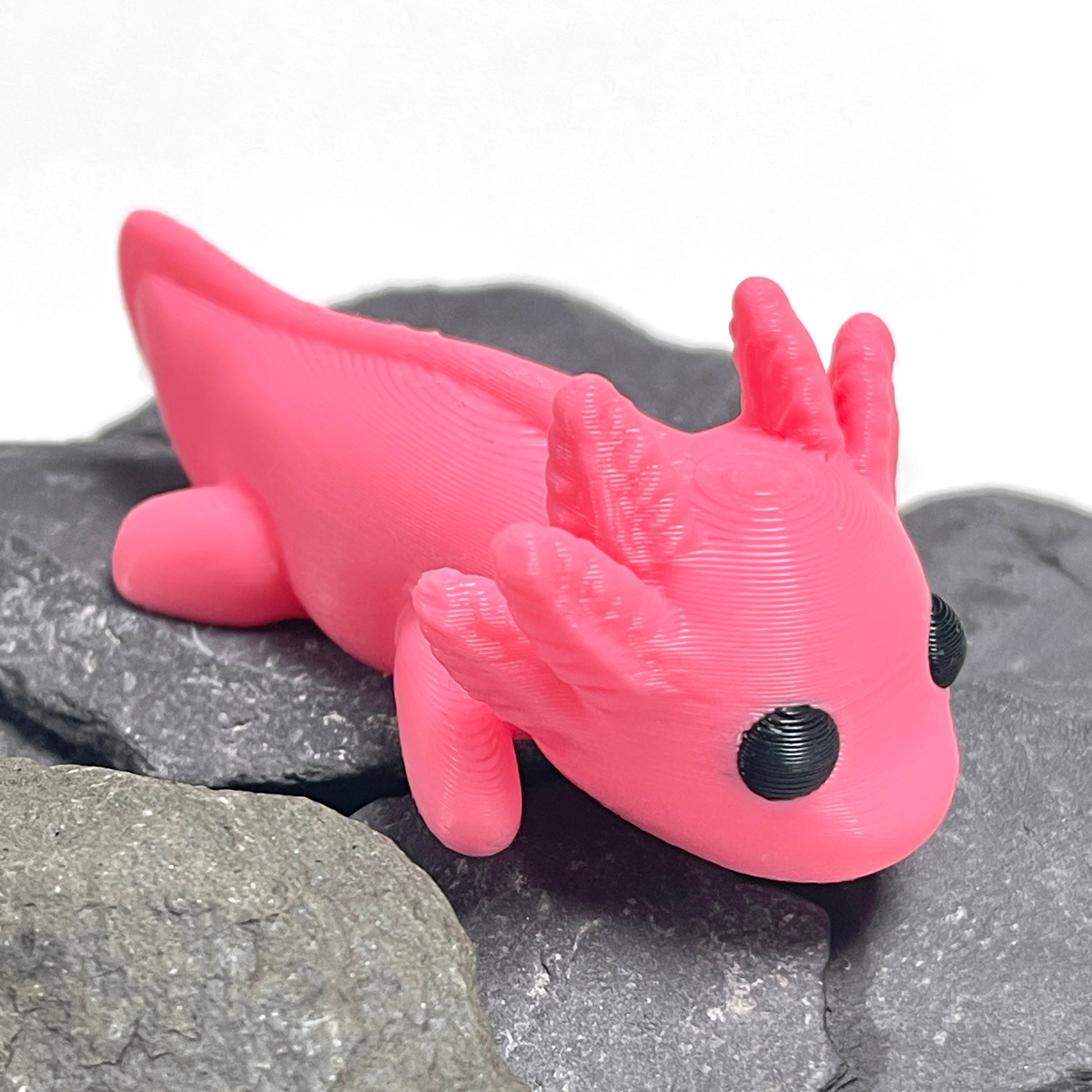 Axolotl Model - Etsy