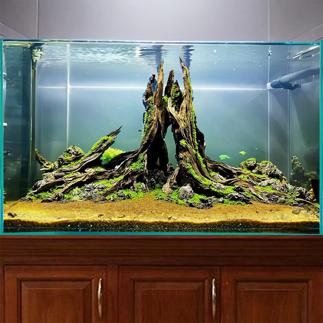 Aquarium Stump Driftwood Holes Cave Aquascape Betta Fish Hideout ...