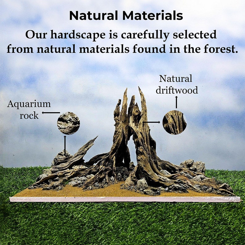 Aquarium Stump Driftwood Holes Cave Aquascape Betta Fish Hideout ...