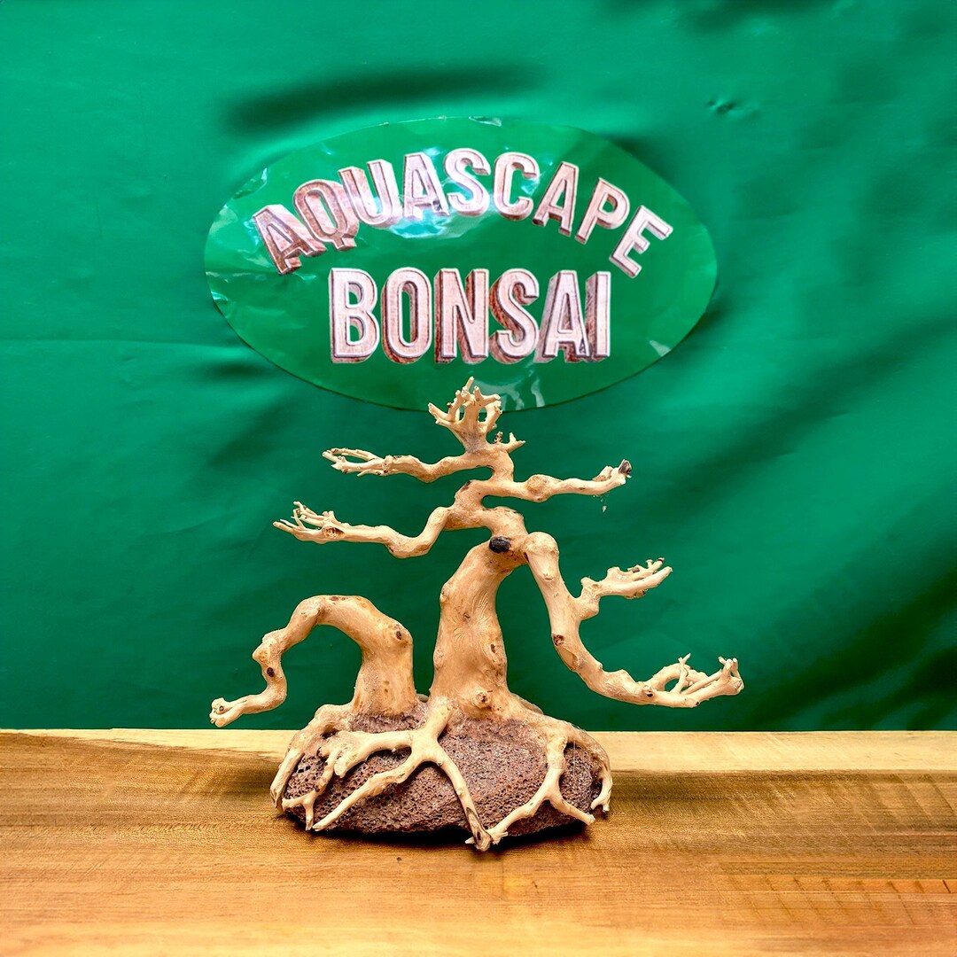 Driftwood Aquarium Aquascape Bonsai Tree Plant Betta Fish Decorations ...