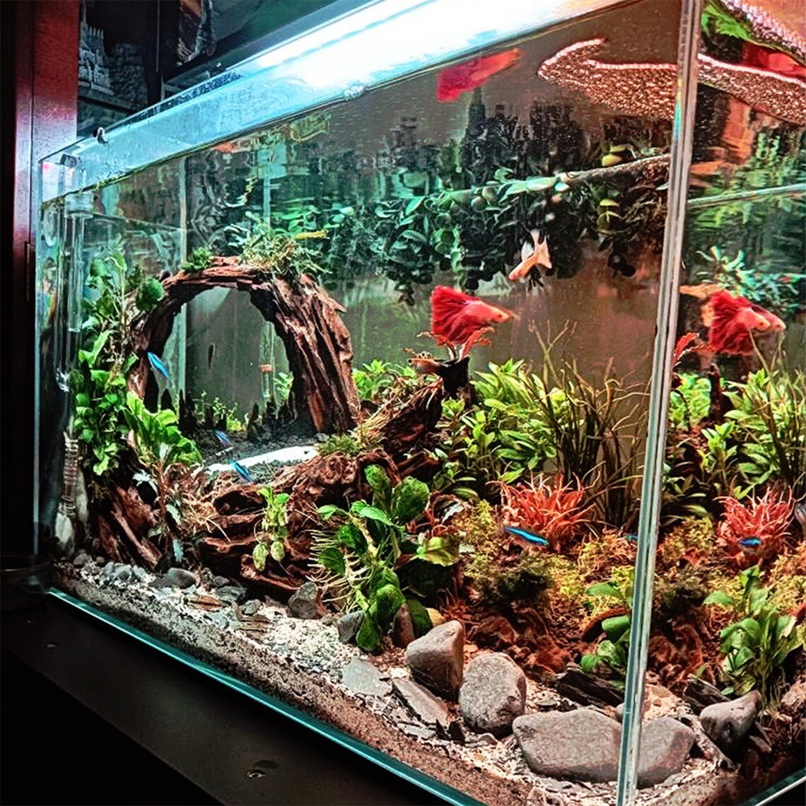 Aquarium Hardscape Rock Cave Hide Out Centerpiece Decoration Fish Tank ...