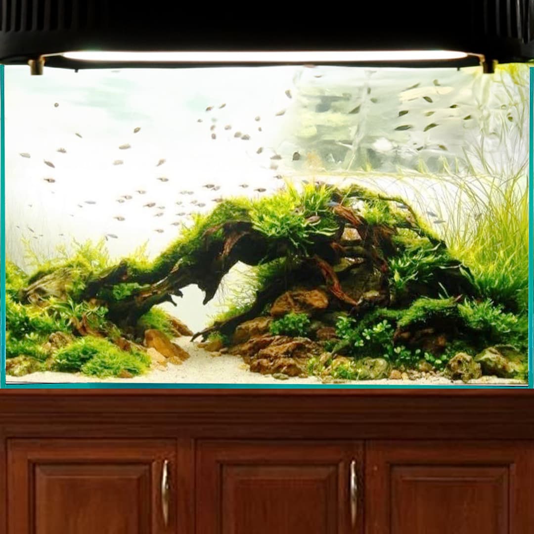 Aquarium Driftwood Centerpiece Aquascape Hardscape Arch Fish Tank ...