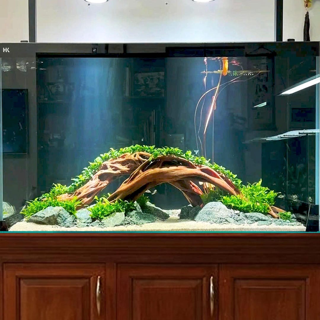 Aquarium Driftwood Tree Branch Aquascape Drift Wood Stump Decor ...