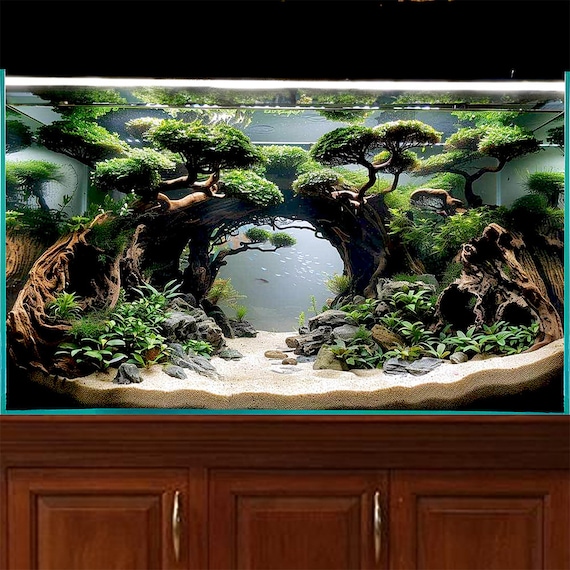 Rock Aquarium Aquascape Design Ideas