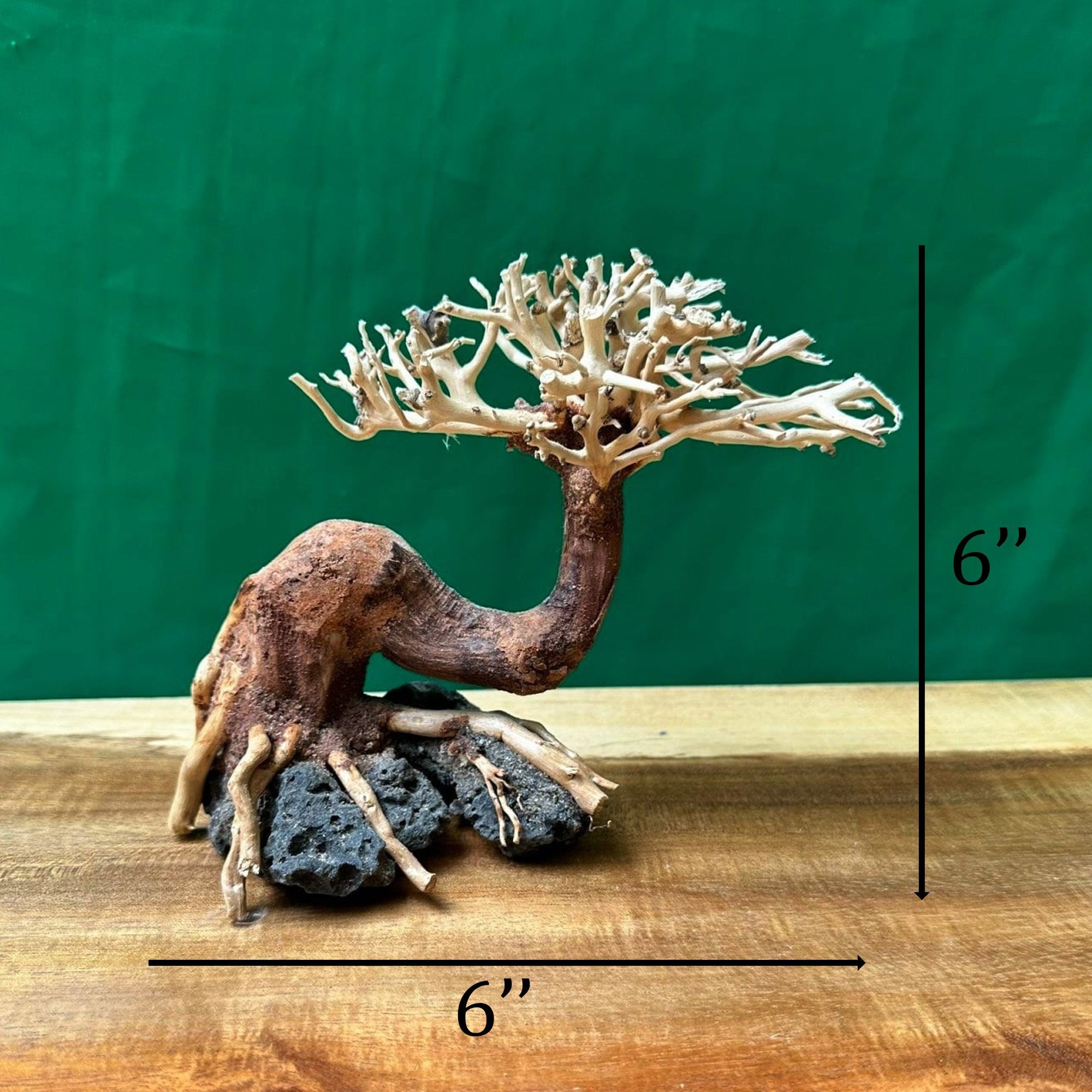 Bonsai Driftwood Aquarium Small Tree Aquascape Decoration - Etsy