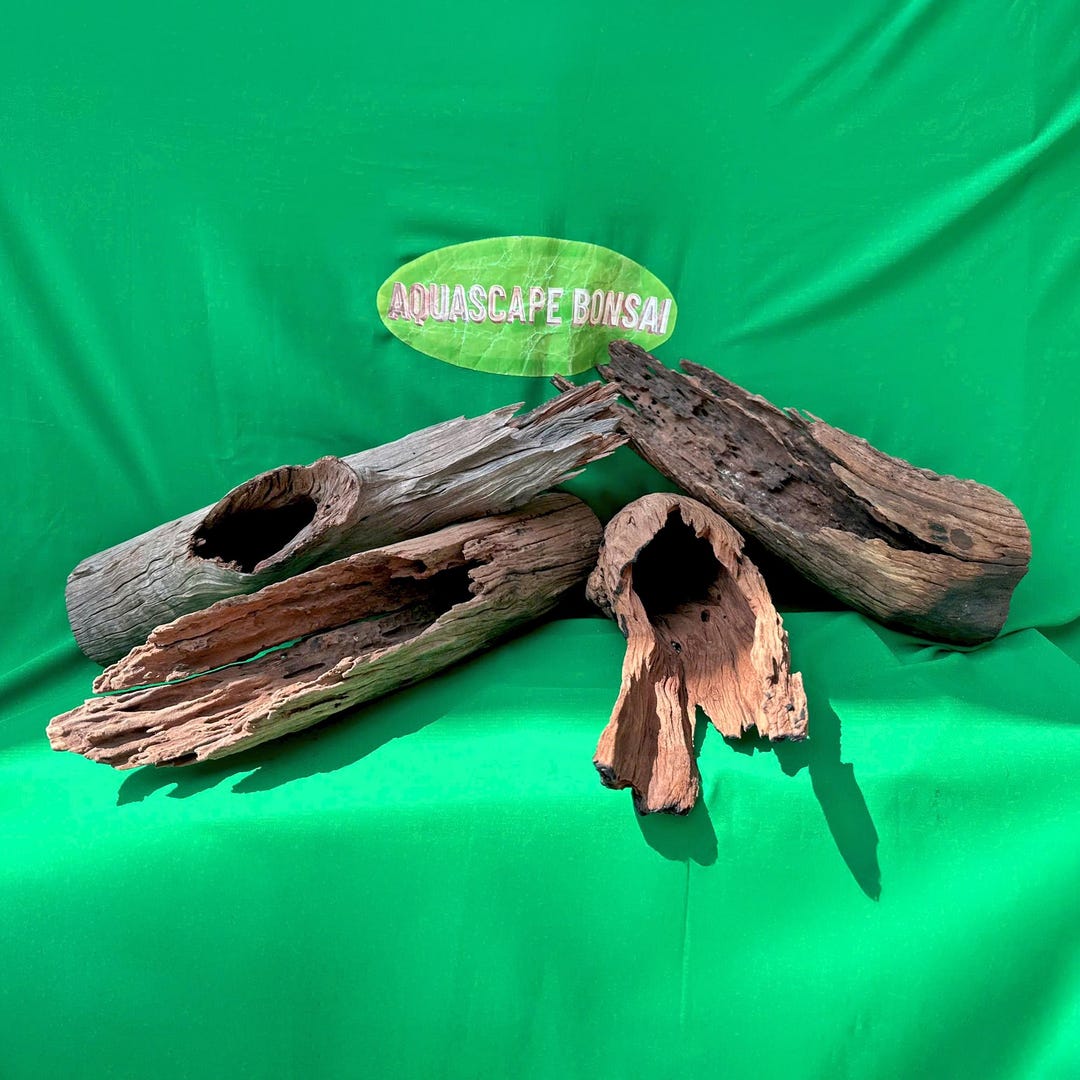 Natural Hollow Driftwood Aquarium Log Aquascape Hideout Cave Drift Wood ...