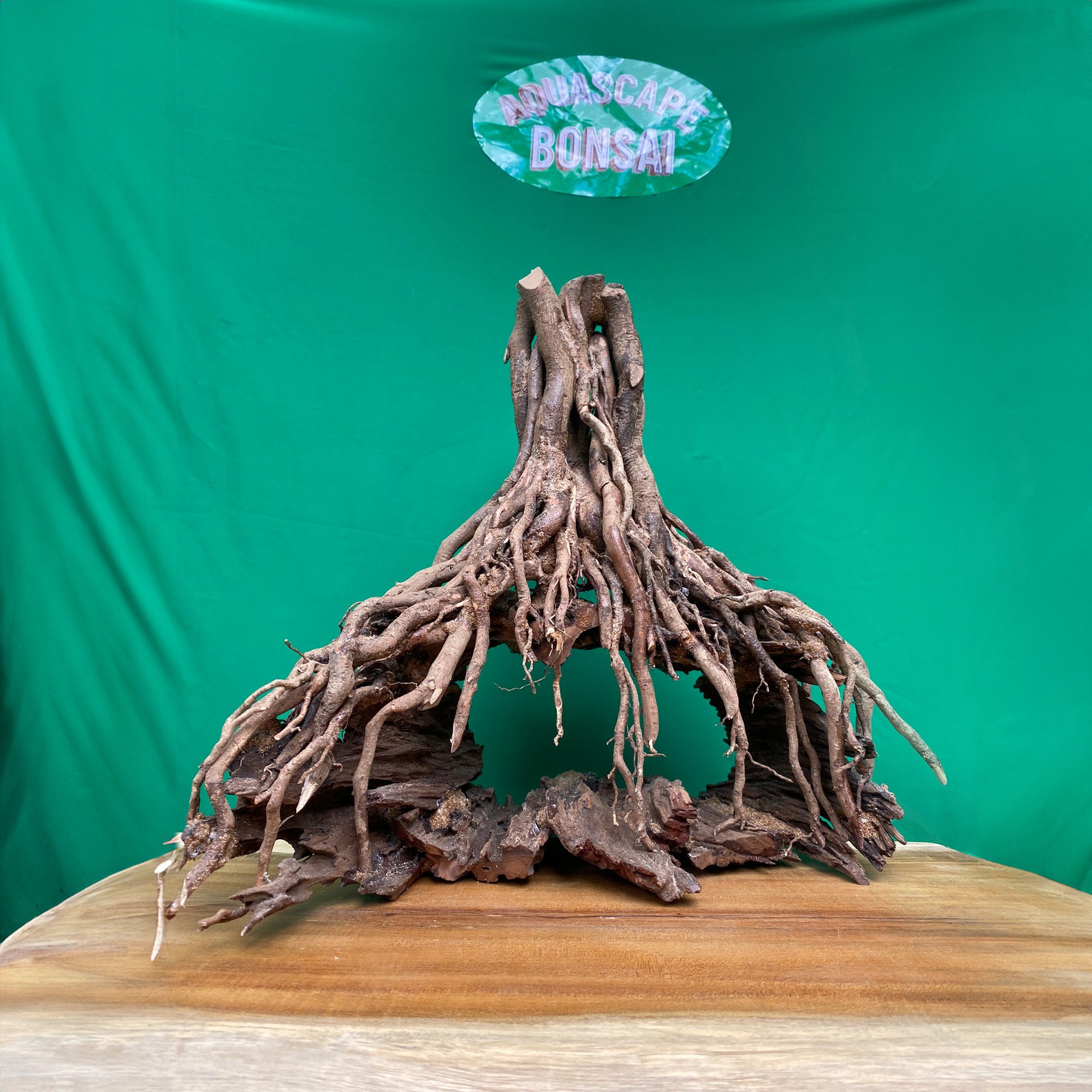 Driftwood Stump Aquarium Aquascape Hardscape Betta Fish Tank Cave ...