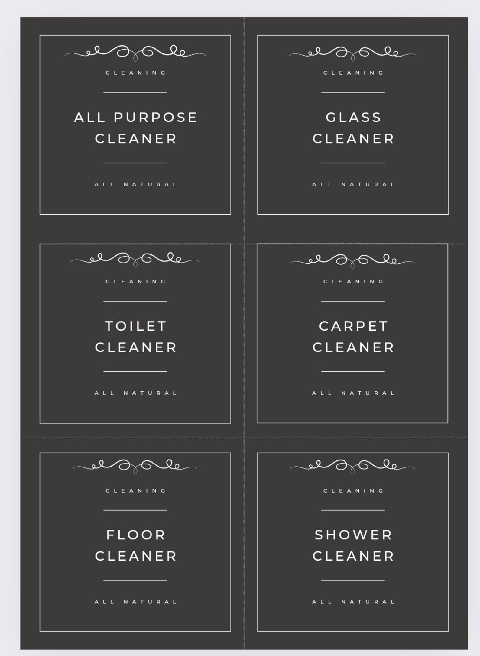 Cleaning Product Labels, Home Decor, Organization digital Download - Etsy