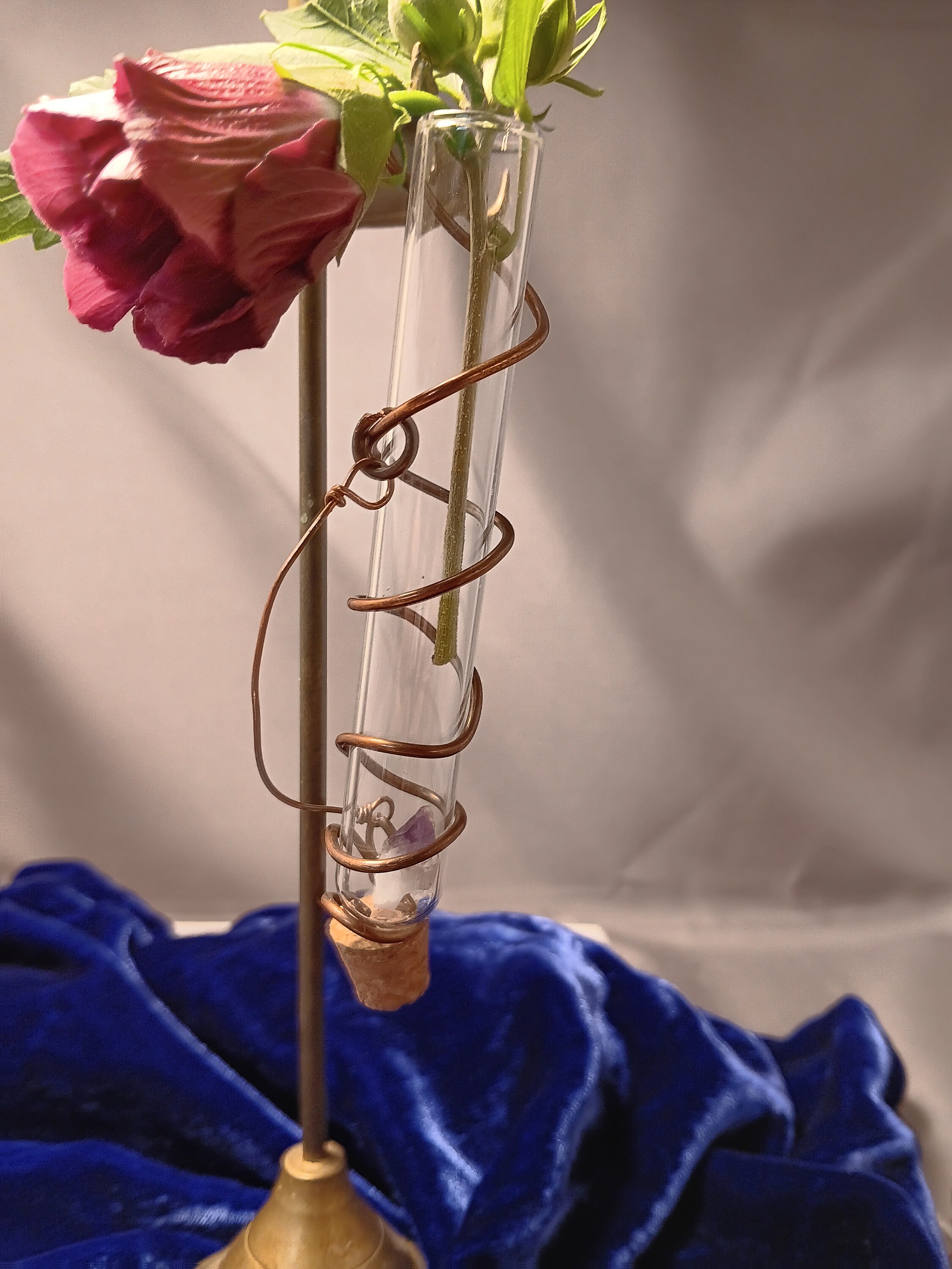 Chemistry Boro Glass Test Tube Rooting Jars Copper Wire Wrapped Window ...
