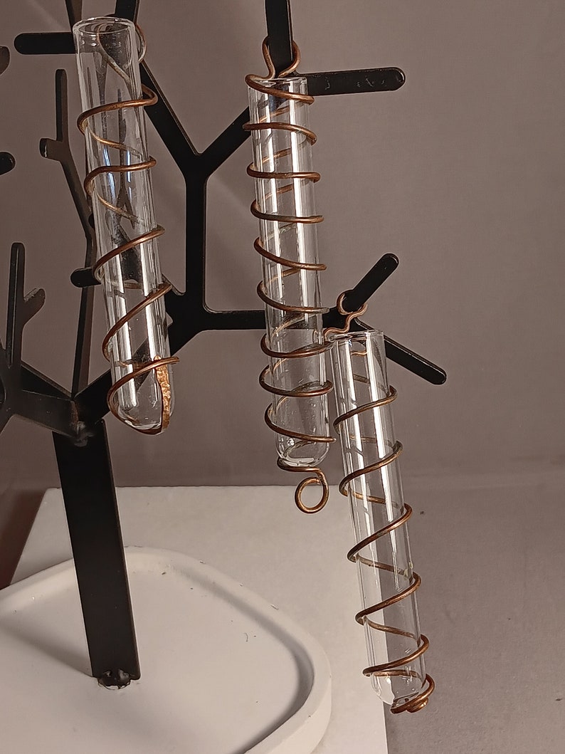 Chemistry Boro Glass Test Tube Rooting Jars Copper Wire Wrapped Window ...