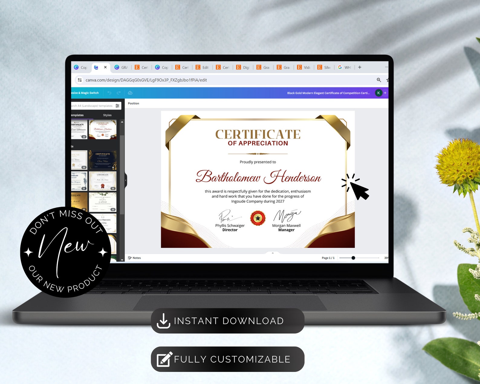 Personalized Certificate of Appreciation, Custom Recognition for ...