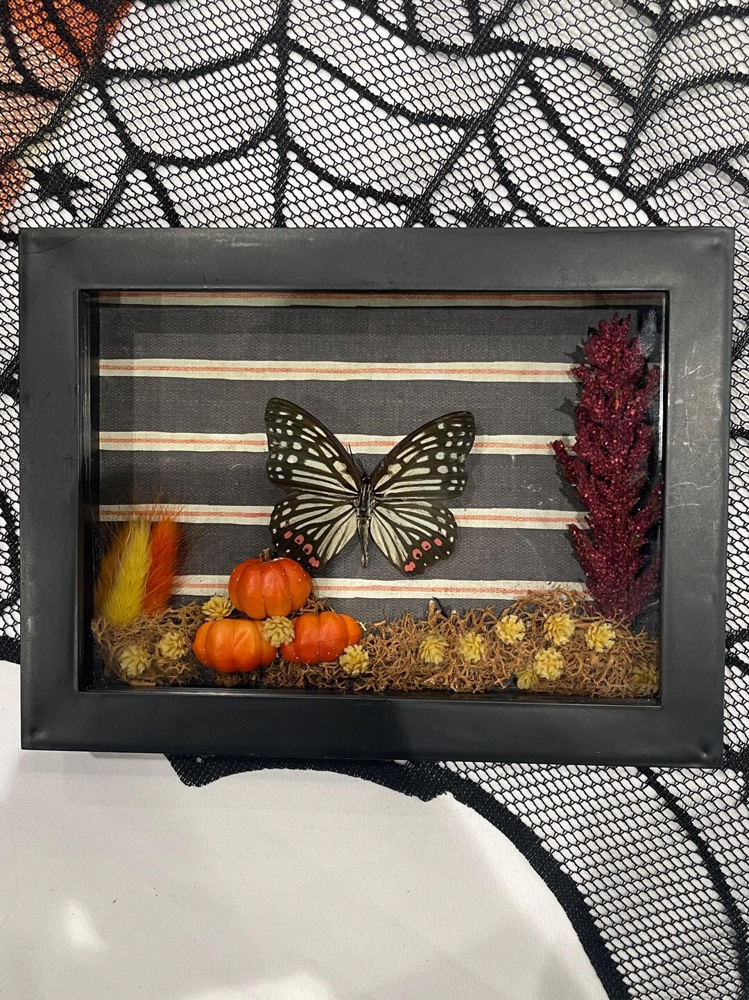 Themed Butterfly Shadow Boxes - Etsy
