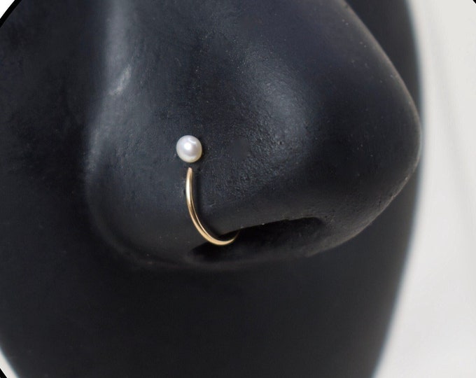 Gold Nose Ring Set 2 Silver Nose Ring Hoop Rose Gold Nose Hoop 18g 20 ...