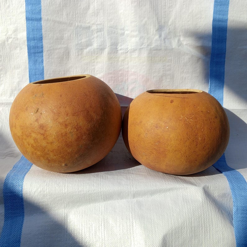 Full Calabash Gourd| Calabash for Art| Full Gourd Bowl for Decoration ...
