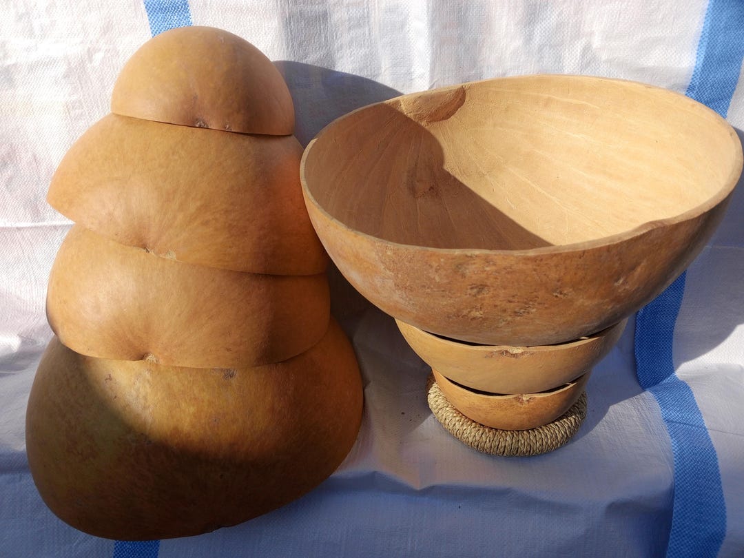 Half Calabash Gourd| Calabash for Art| Half Gourd for Decoration| Gourd ...