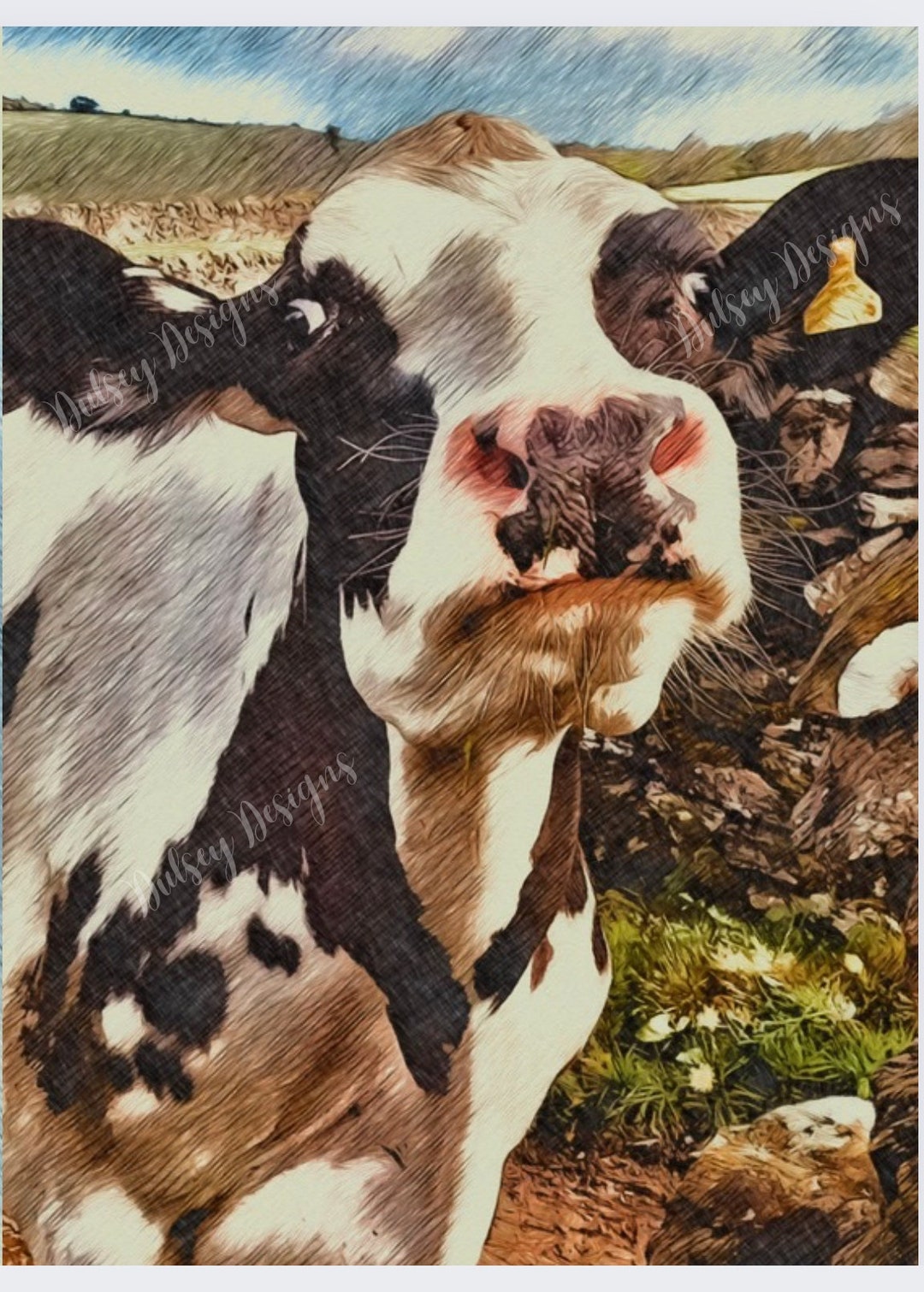 Cow Print, Cows, Digital Download, Staffordshire, Peak District, Nature ...