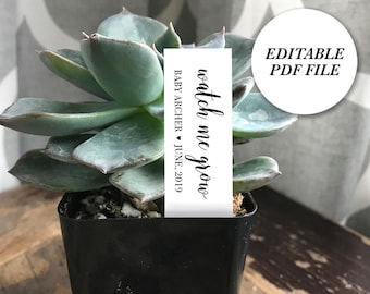 Watch Me Grow Plant Sign Template, Succulent Favor Tag Template, Baby ...