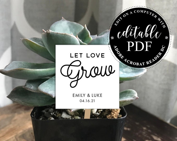 Let Love Grow Succulent Stake, Succulent Stake, Wedding Favor Plant Tag ...