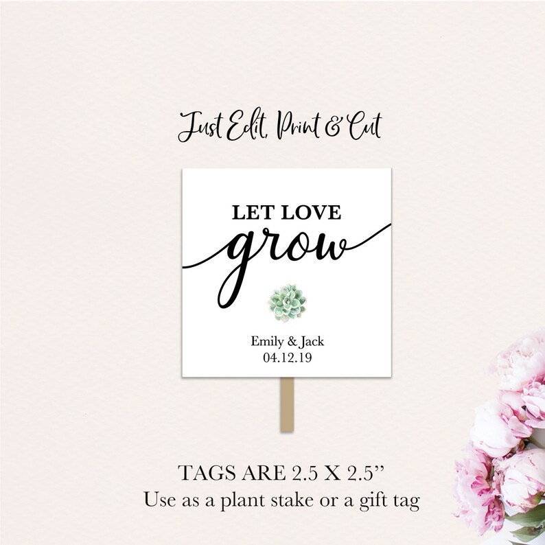 Succulent Tags for Wedding Let Love Grow Tag Template | Etsy