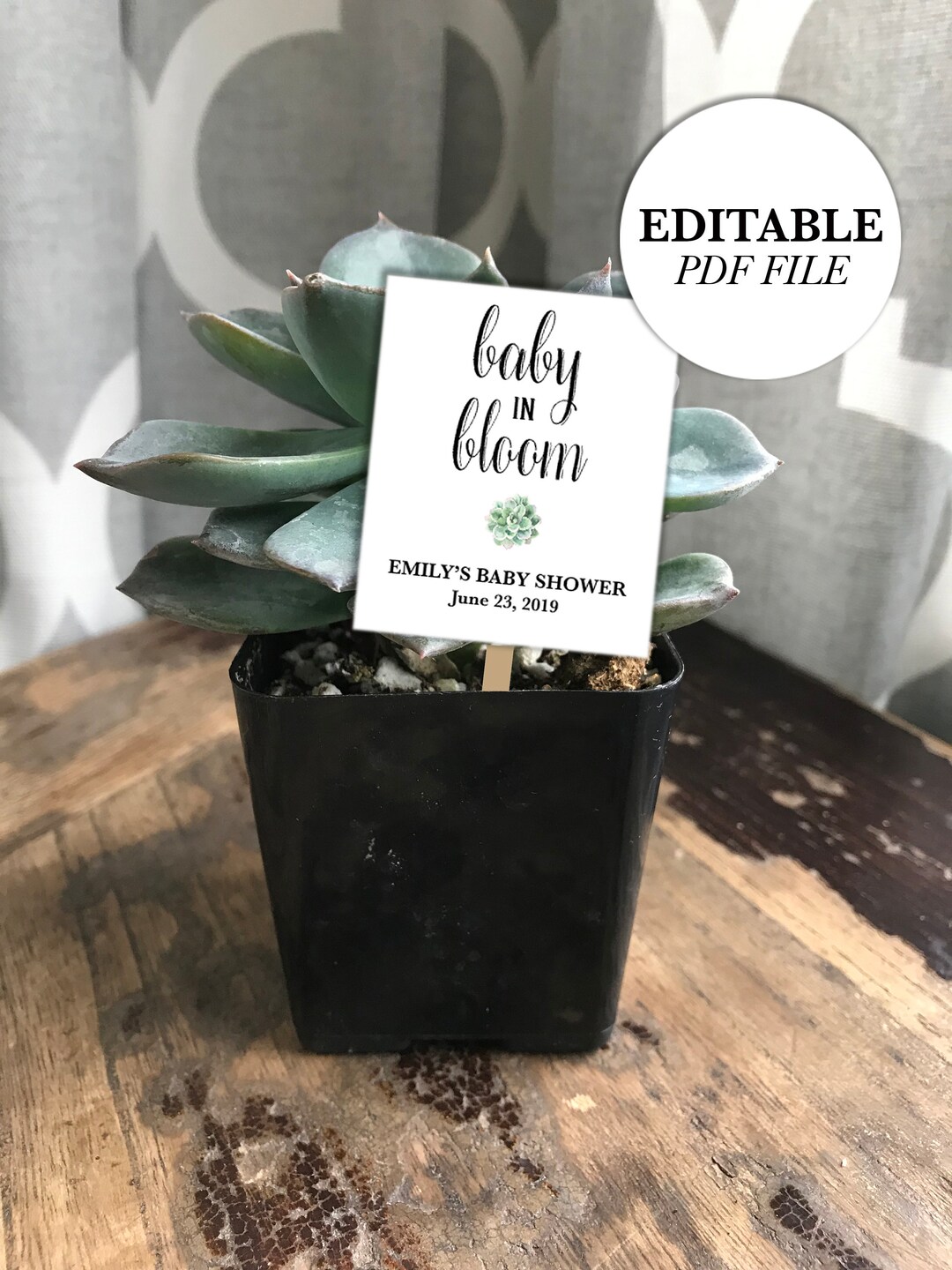 Baby in Bloom Succulent Tags, Baby in Bloom Tag Template, EDITABLE ...