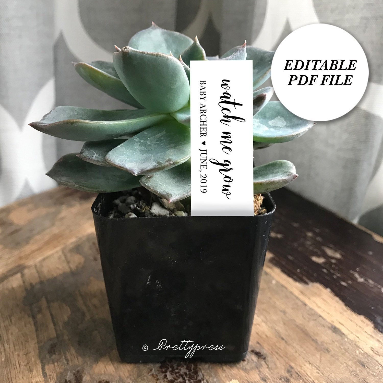 Baby Shower Succulent Favor Tags EDITABLE favor tags Plant | Etsy