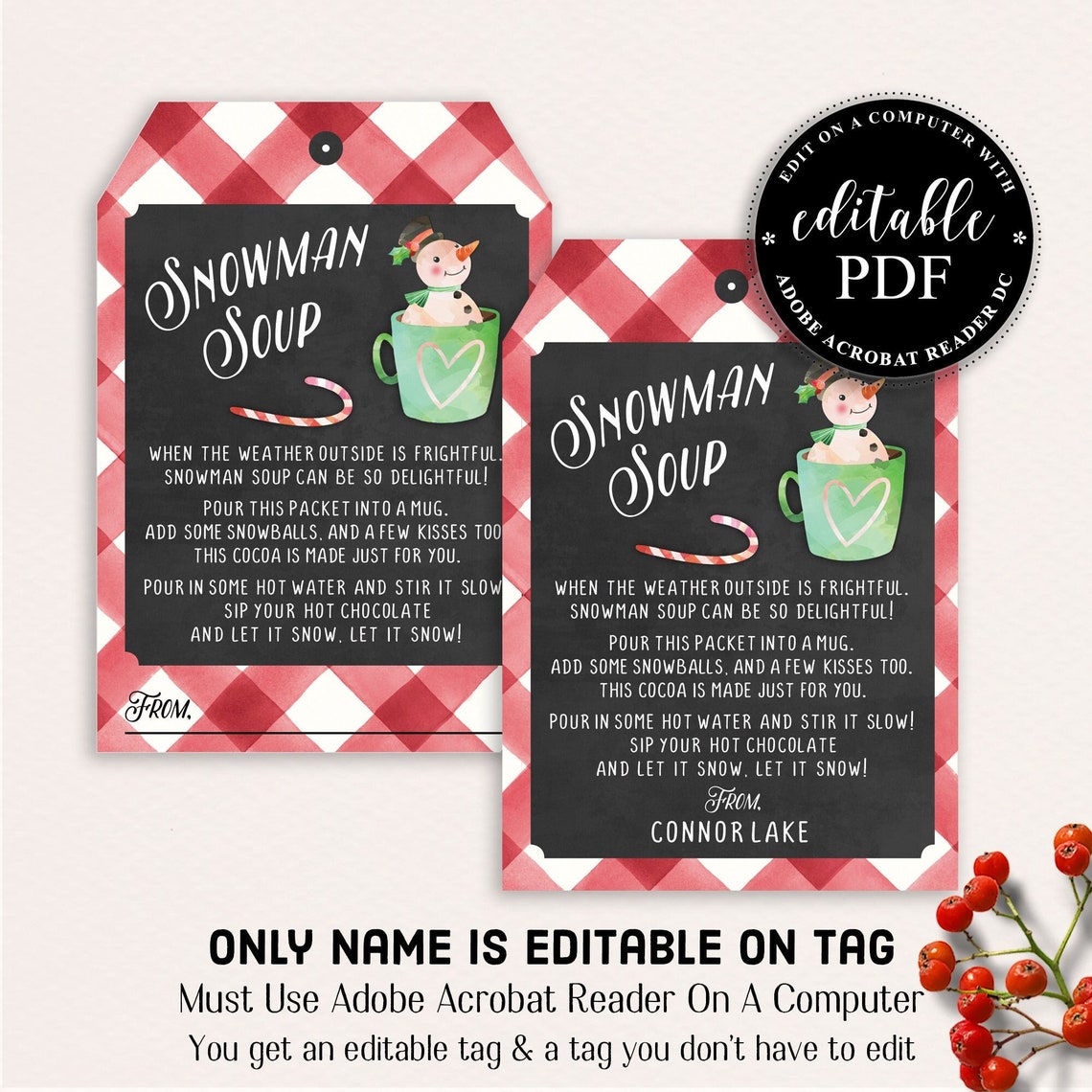 Snowman Soup Printable Hot Coco Gift Tags Editable Gift Tag | Etsy