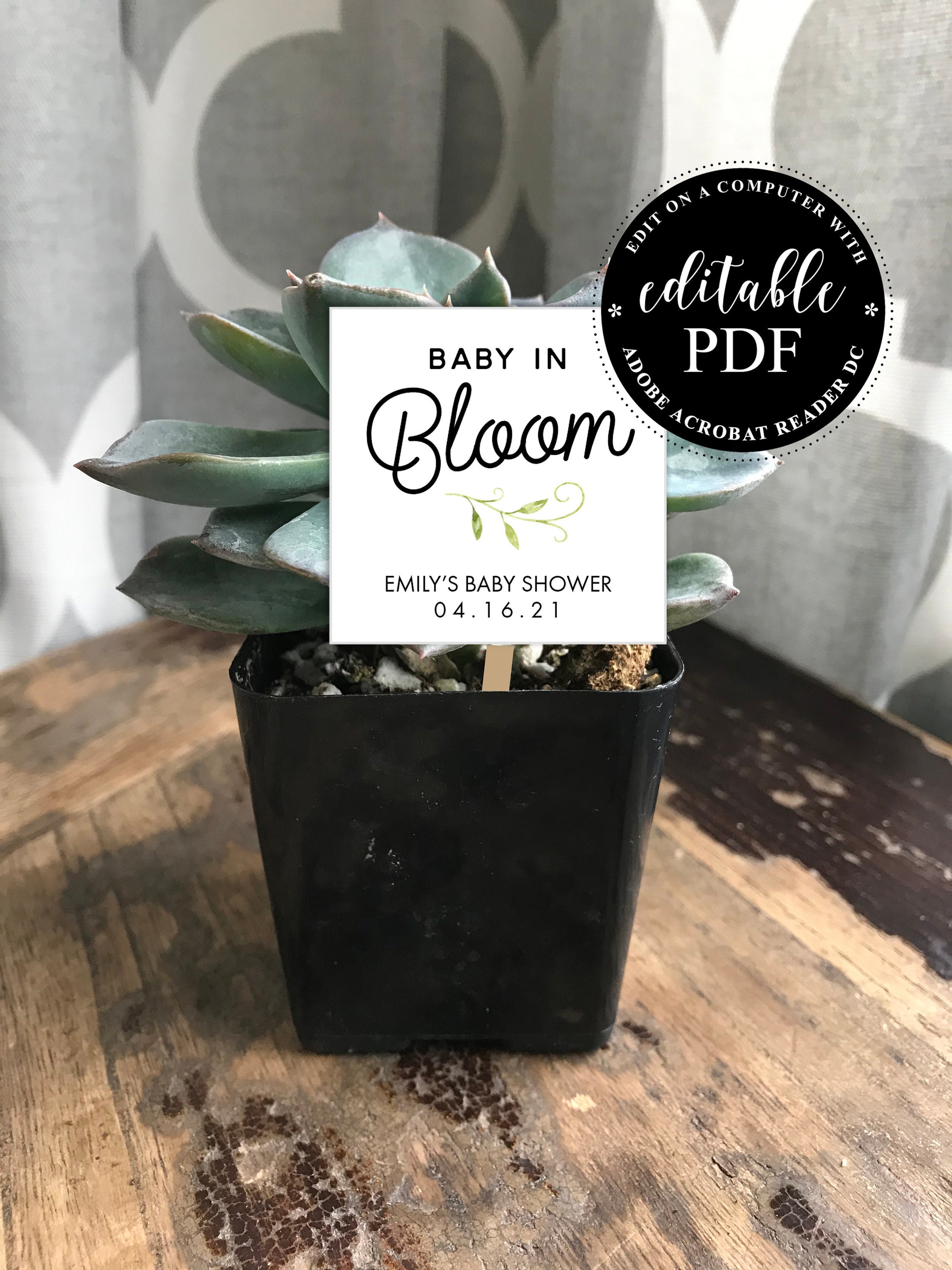 Baby in Bloom Tag, Baby in Bloom Tag Template, EDITABLE Shower Favor ...