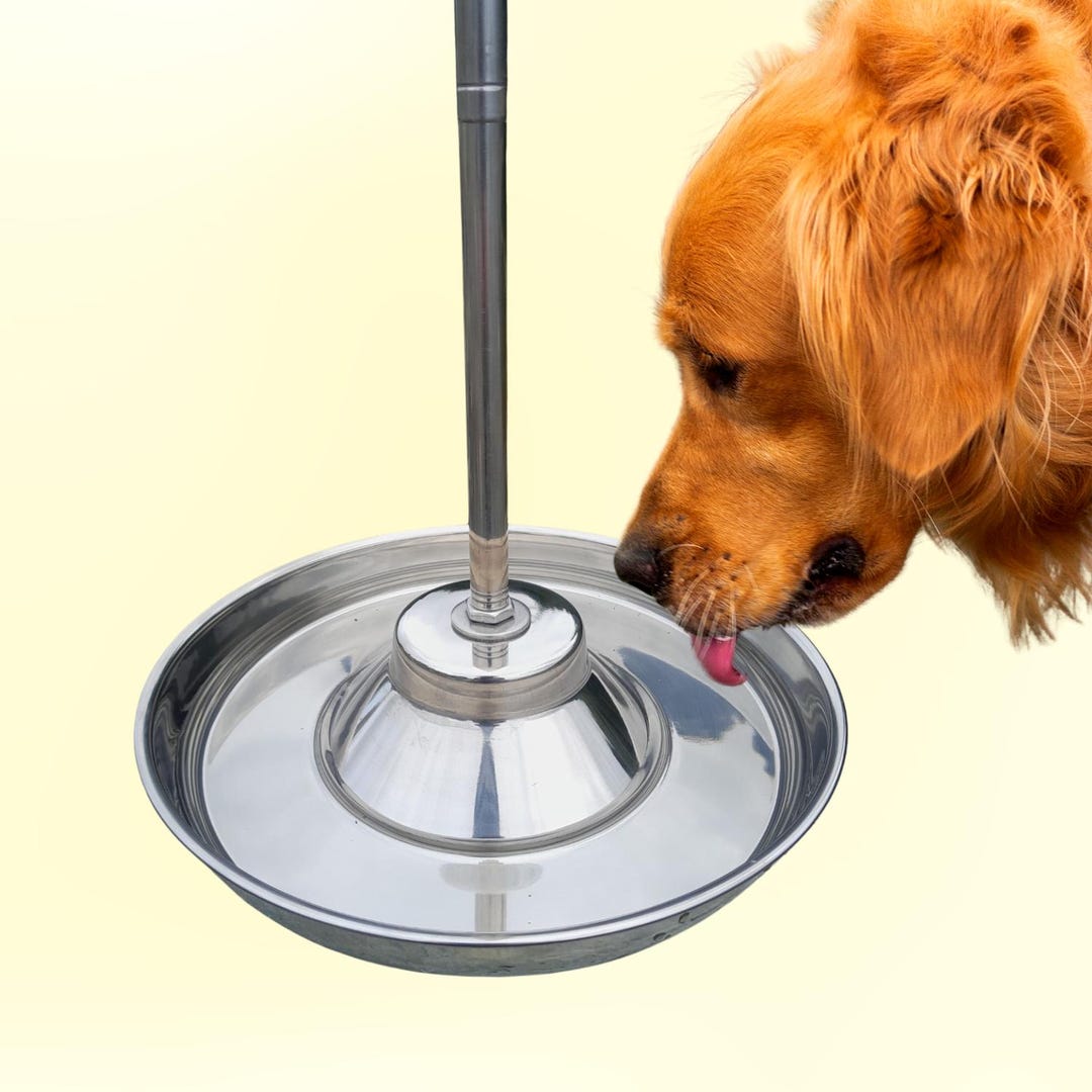 No-bend Pet Feeder With Long Handle – Easy Dog Bowl for Seniors ...
