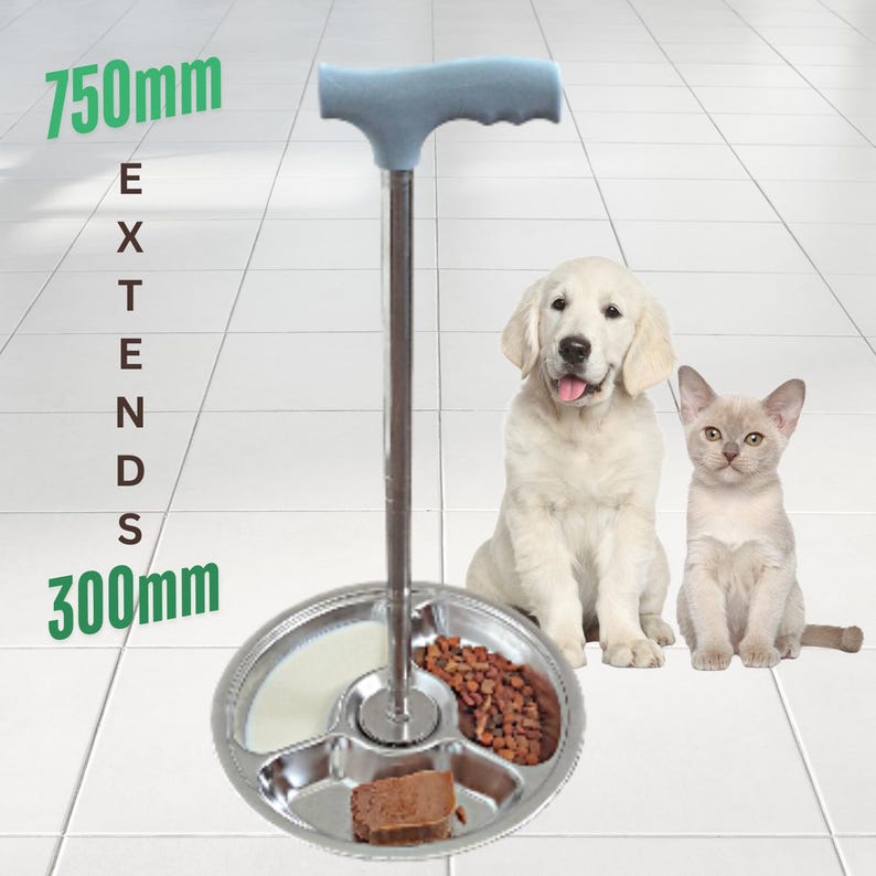No Bending, No Strain Ergonomic Pet Feeder With Handle Arthritis ...