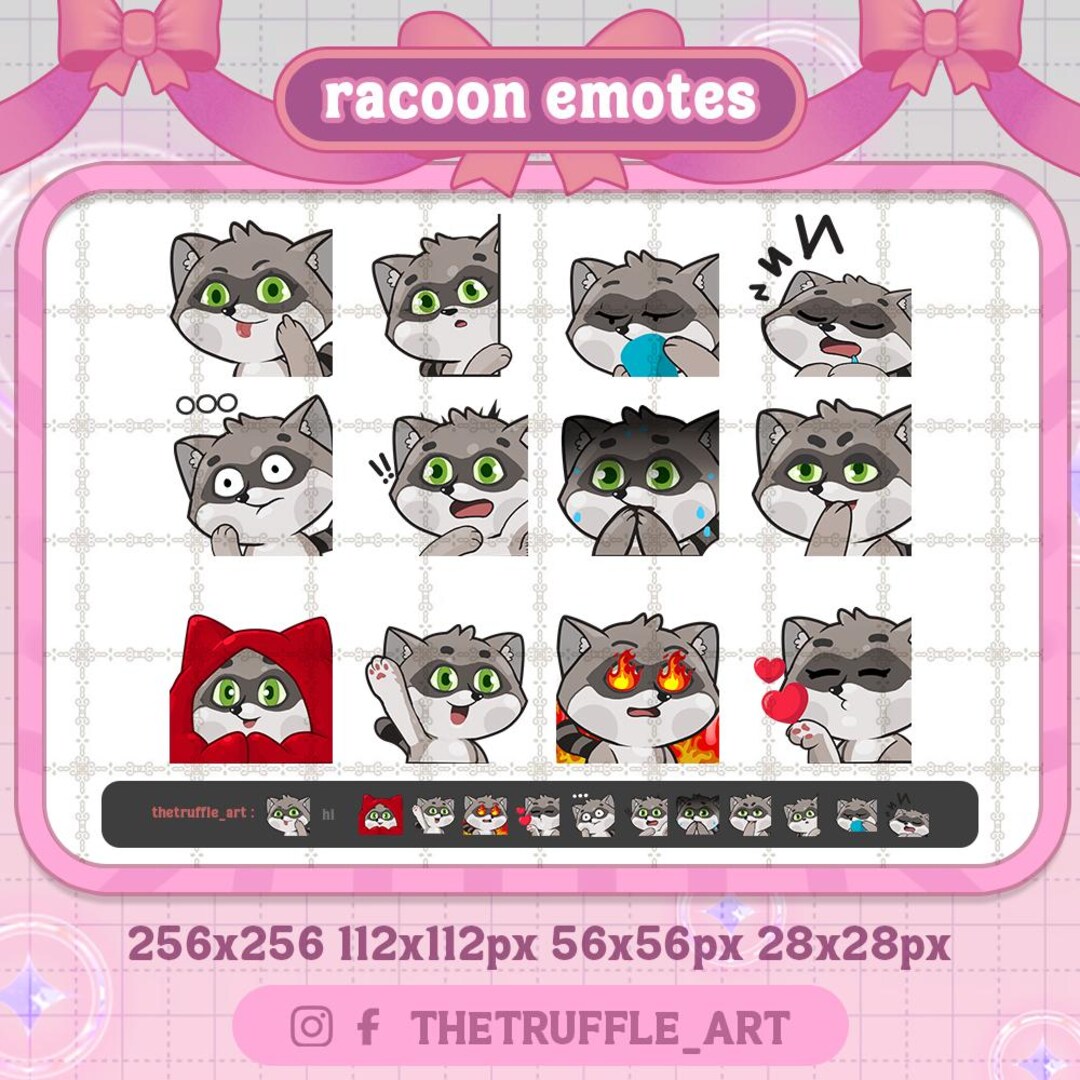 Racoon Emotes Pack 1, Twitch Emotes Pack, Cute and Funny Emotes - Etsy