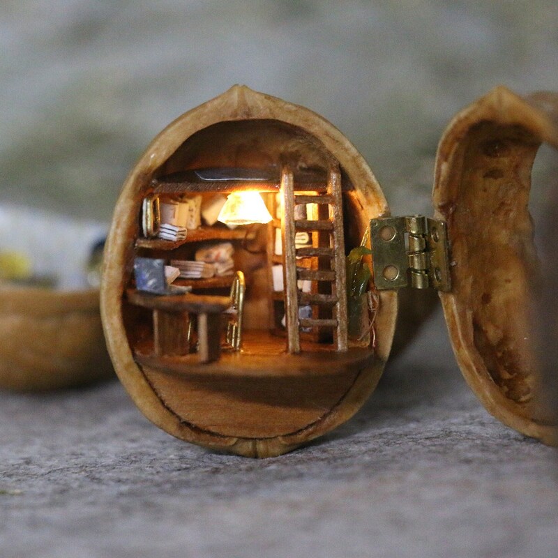 Walnut Shell Diorama - Etsy