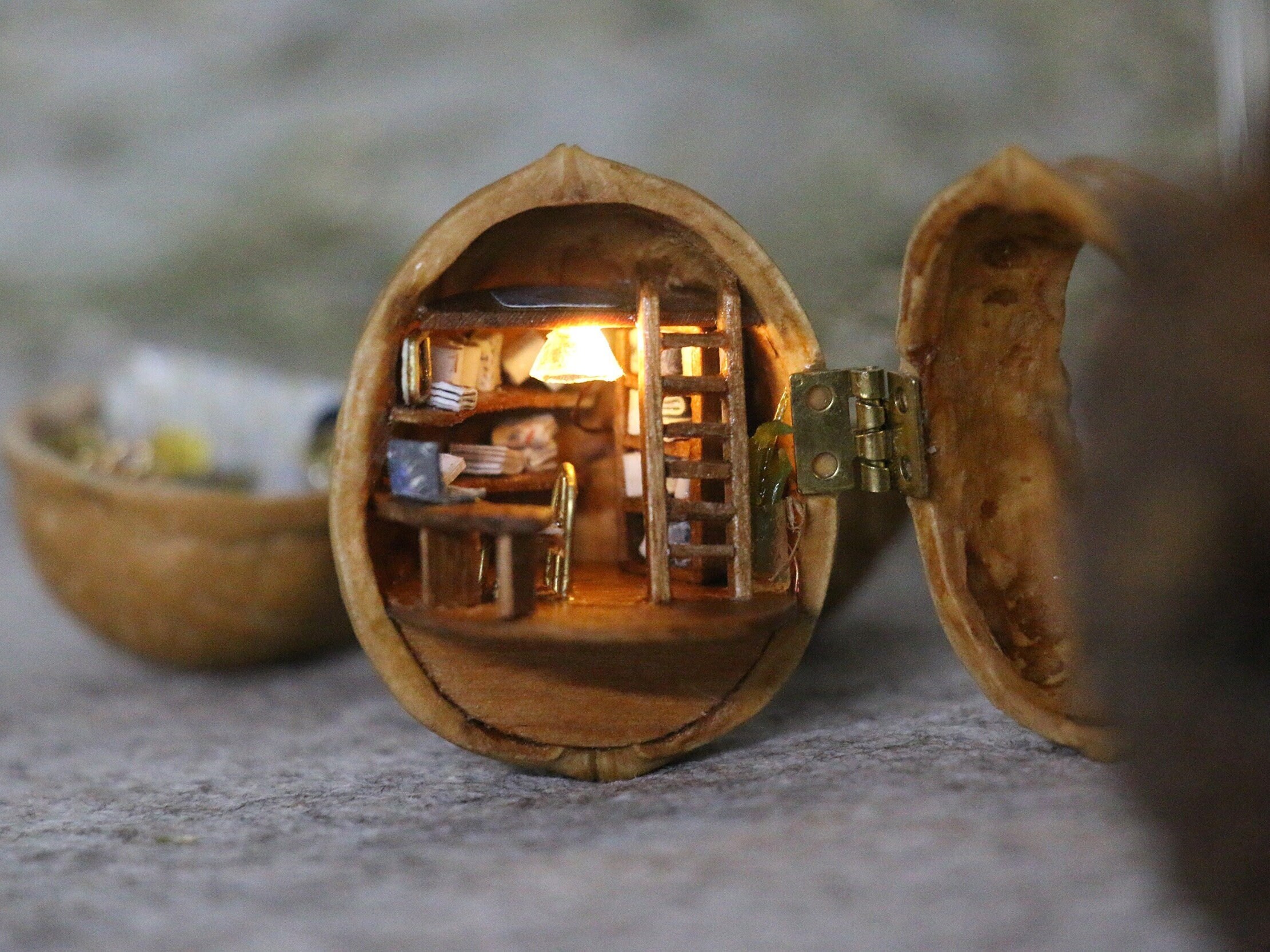 Handmde Walnut Mouse Miniature House Micro Home Collectable Walnut ...