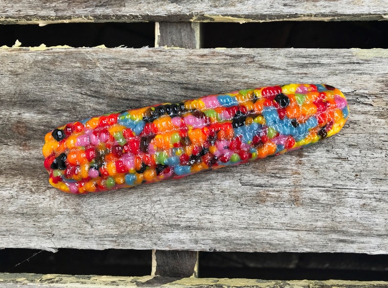 Fused/cast Glass Calico Corn-indian Corn - Fall-autumn Decor - Etsy