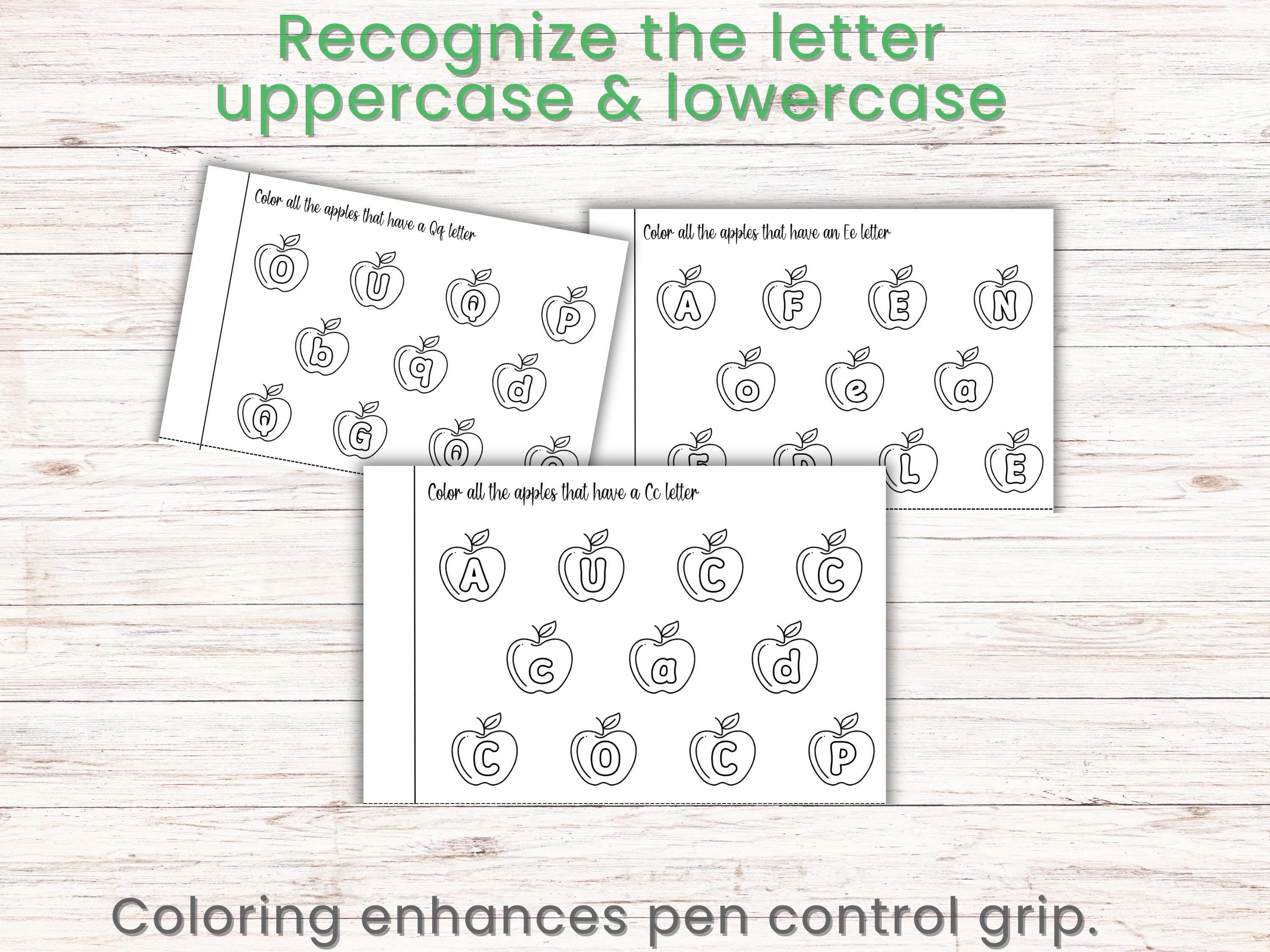 Alphabet Mini Book, Printable Literacy Workbook for Preschool, Pre-k ...