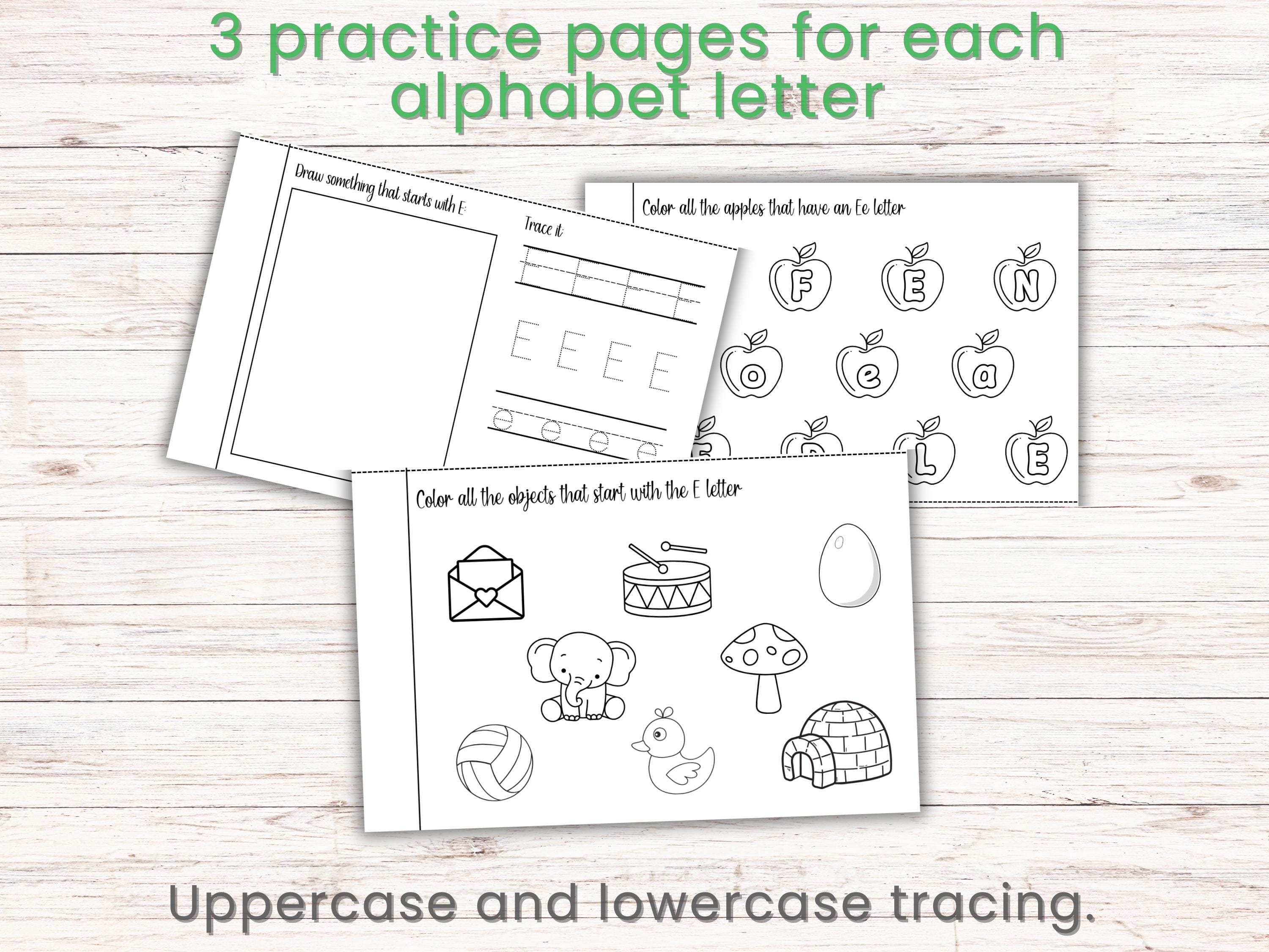 Alphabet Mini Book, Printable Literacy Workbook for Preschool, Pre-k ...