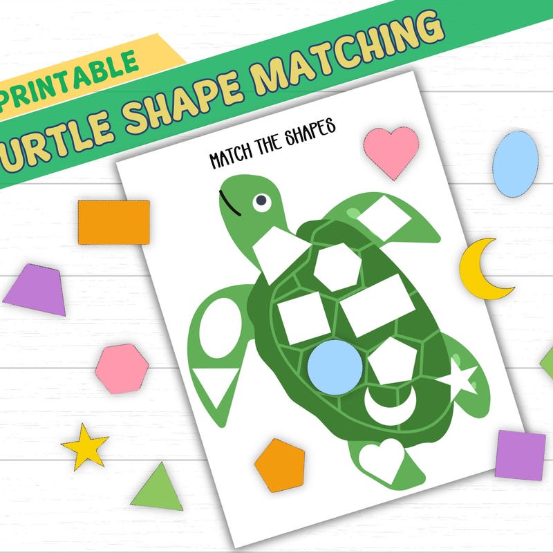 File Folder Game - Etsy