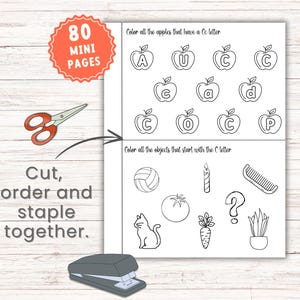 Alphabet Mini Book, Printable Literacy Workbook for Preschool, Pre-k ...