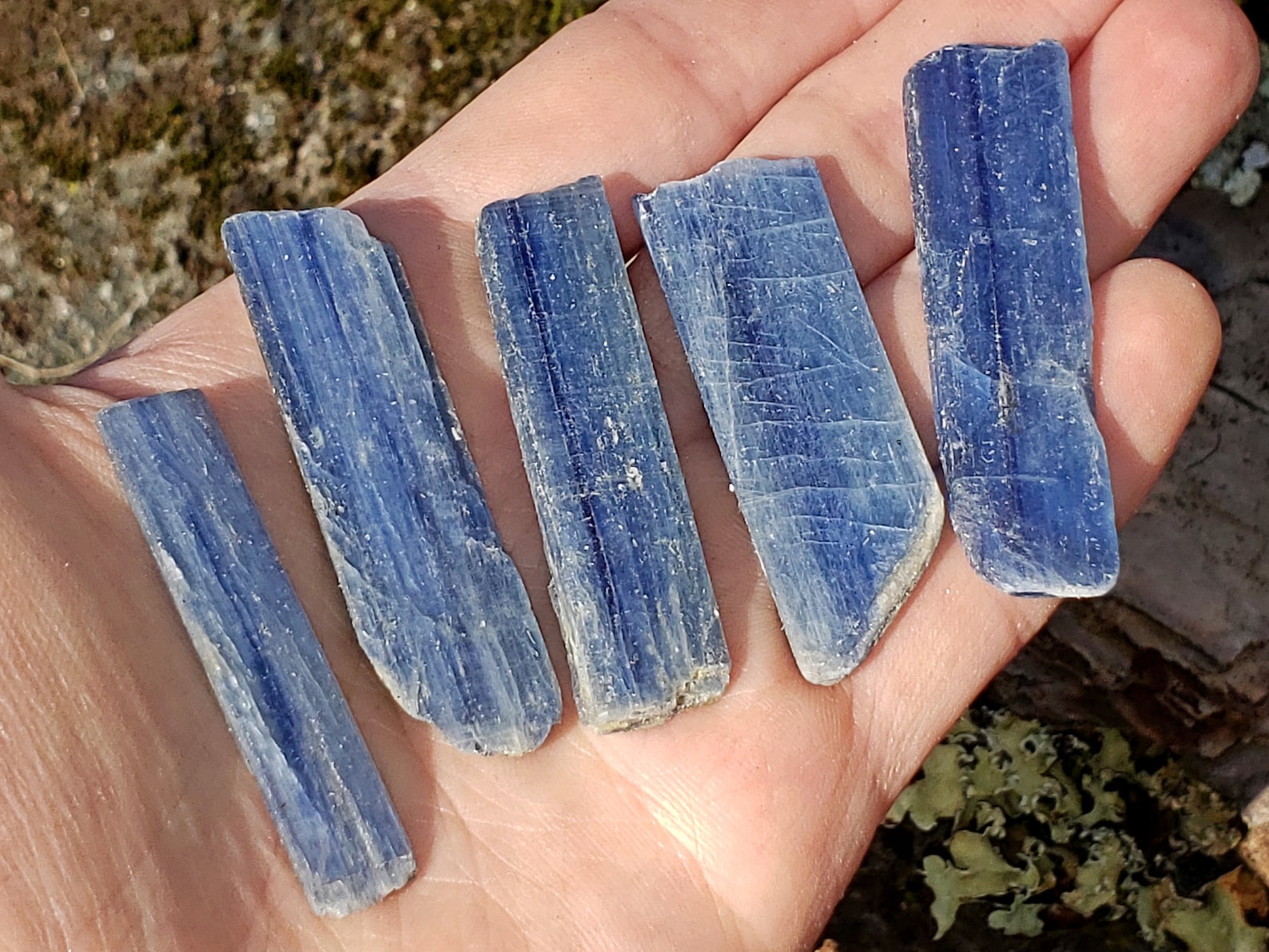 Medium Blue Stripe Kyanite Raw Gemmy Crystal Blade Stick - Etsy