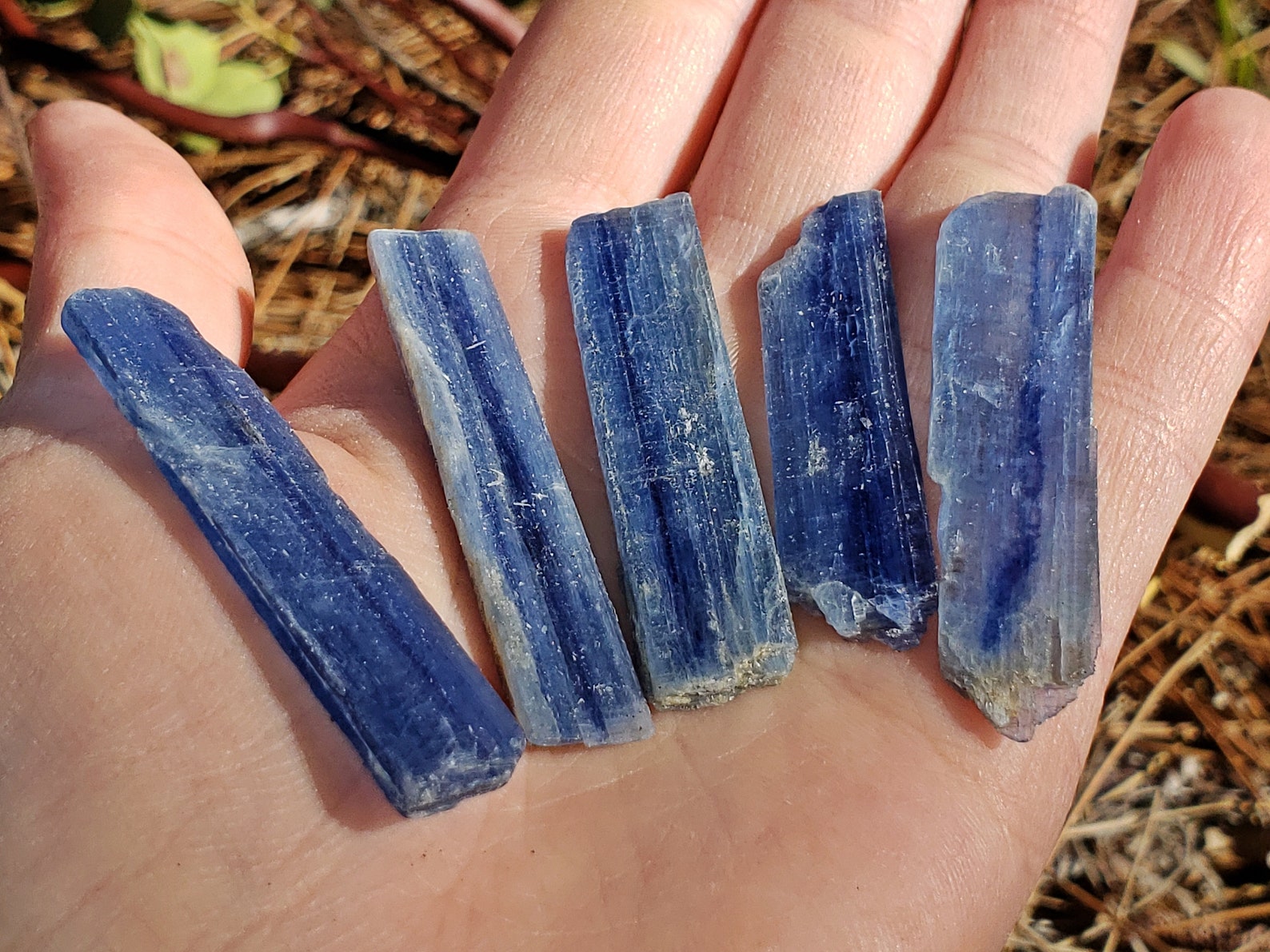 Medium Blue Stripe Kyanite Raw Gemmy Crystal Blade Stick - Etsy