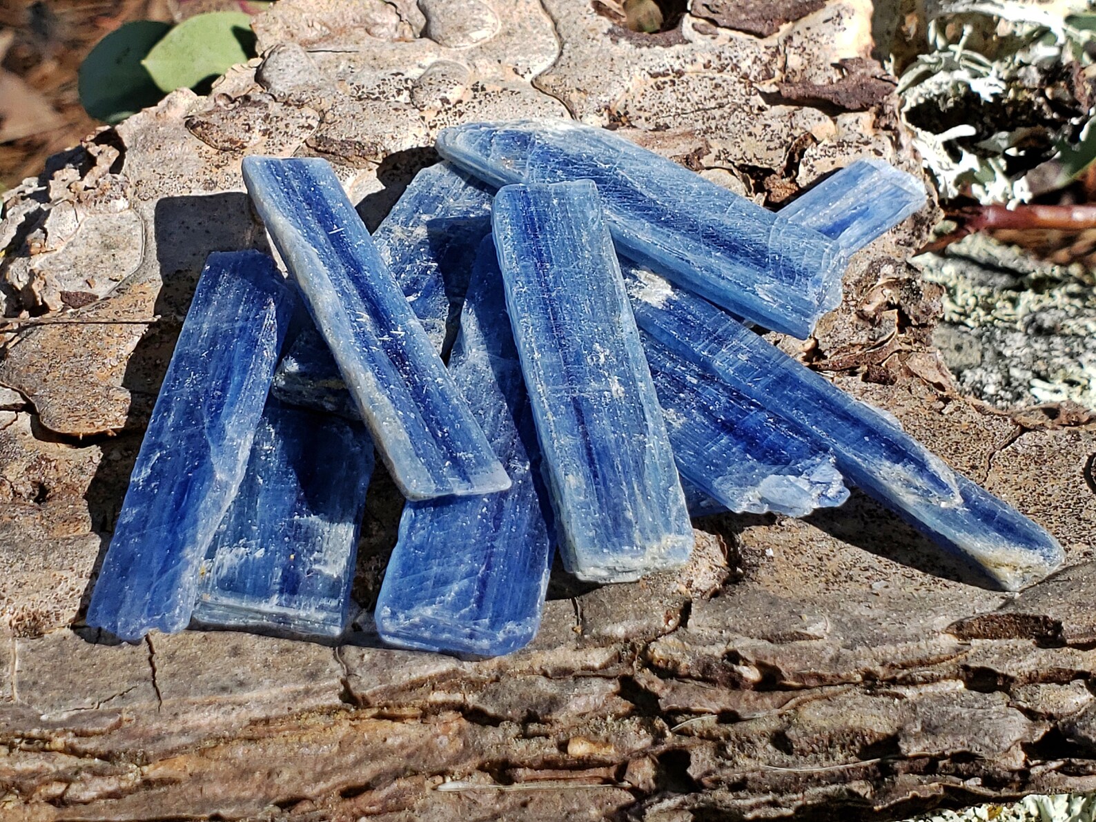 Medium Blue Stripe Kyanite Raw Gemmy Crystal Blade Stick - Etsy