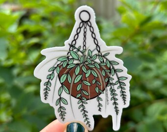 Hanging Pothos Plant Sticker | Matte, Waterproof Die-cut Sticker - Etsy