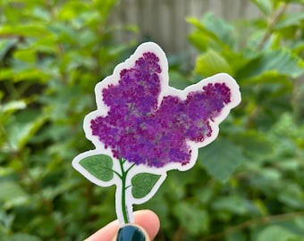Purple Lilac Sticker W/ White Background, Lilac Sticker, Floral Sticker ...