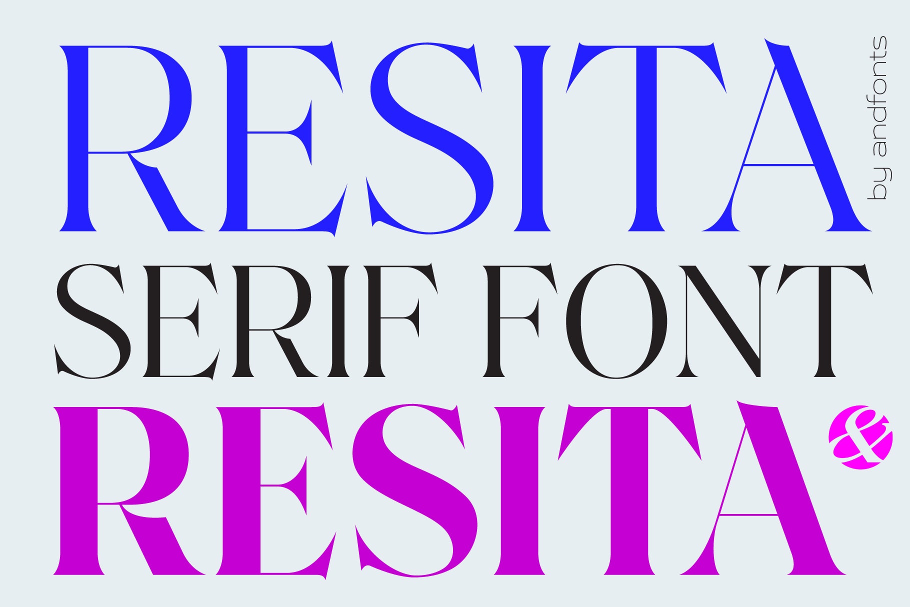 Resita Elegant Serif Font - Etsy