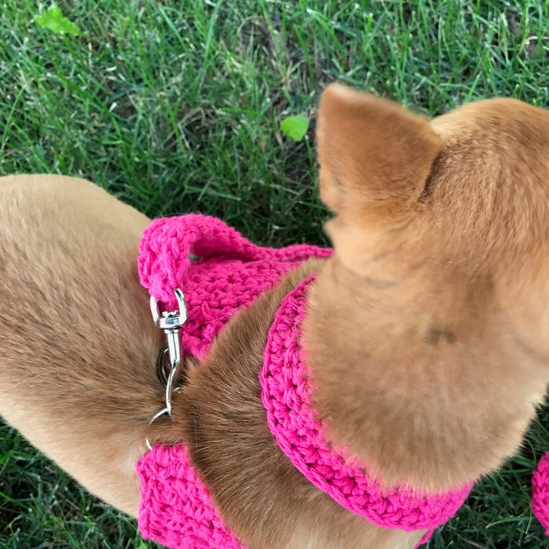 Crochet Harness - Etsy