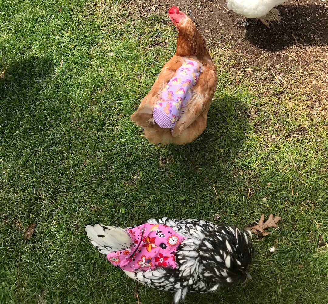 Hen Poultry Saddle/apron Dress Chicken Farm Supply Eggs - Etsy