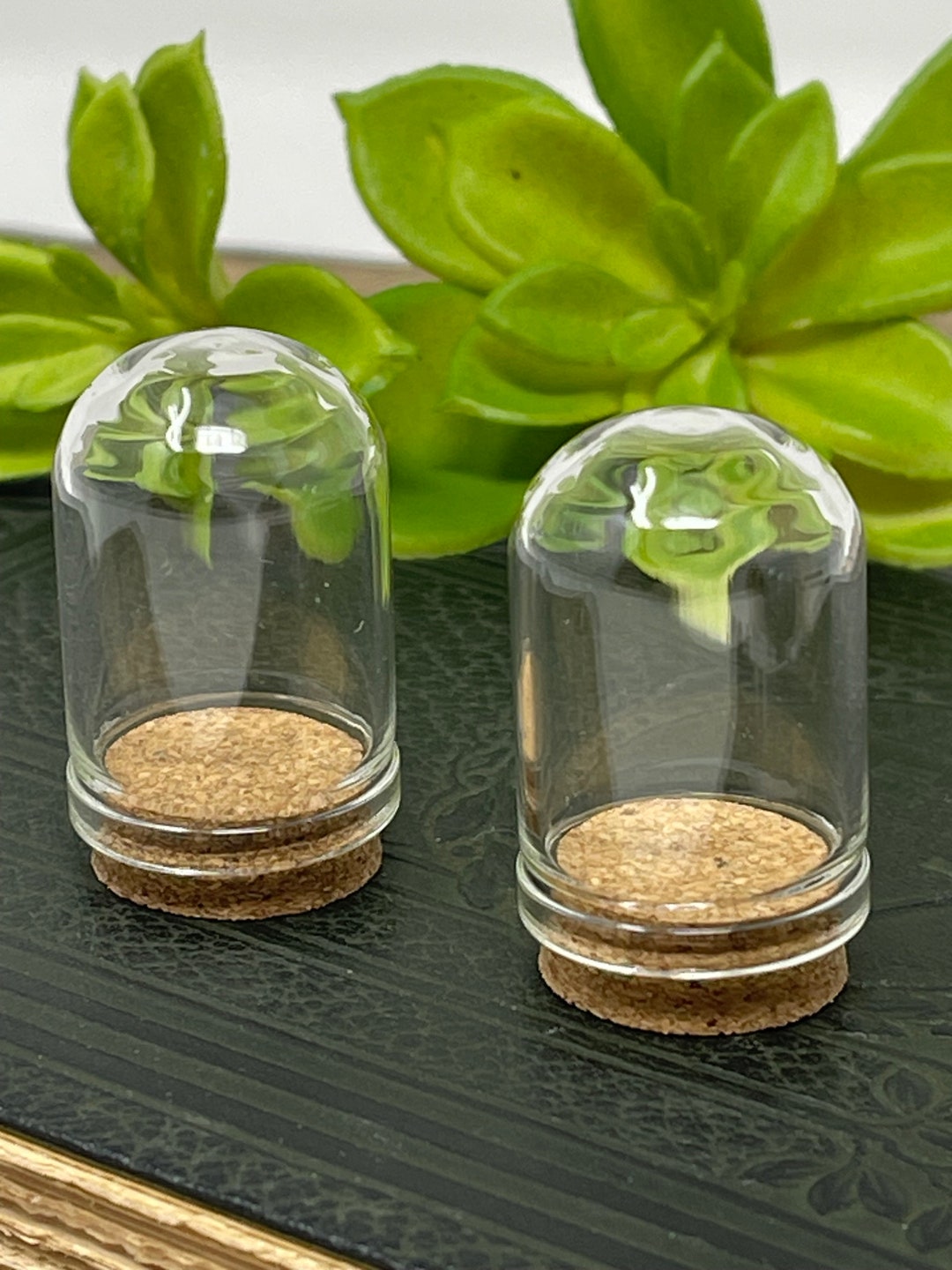 10 Mini Clear Glass Cloche - Cork Terrarium Bottle Cork - Glass Dome ...