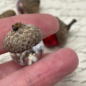 6 Iridescent Multi Colored Rainbow Handcrafted Acorns Cap Crackled ...