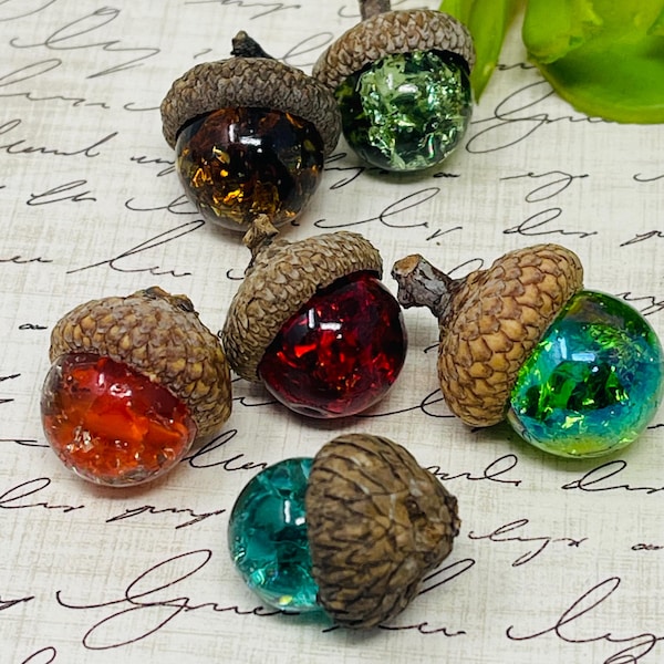 Acorn Caps - Etsy