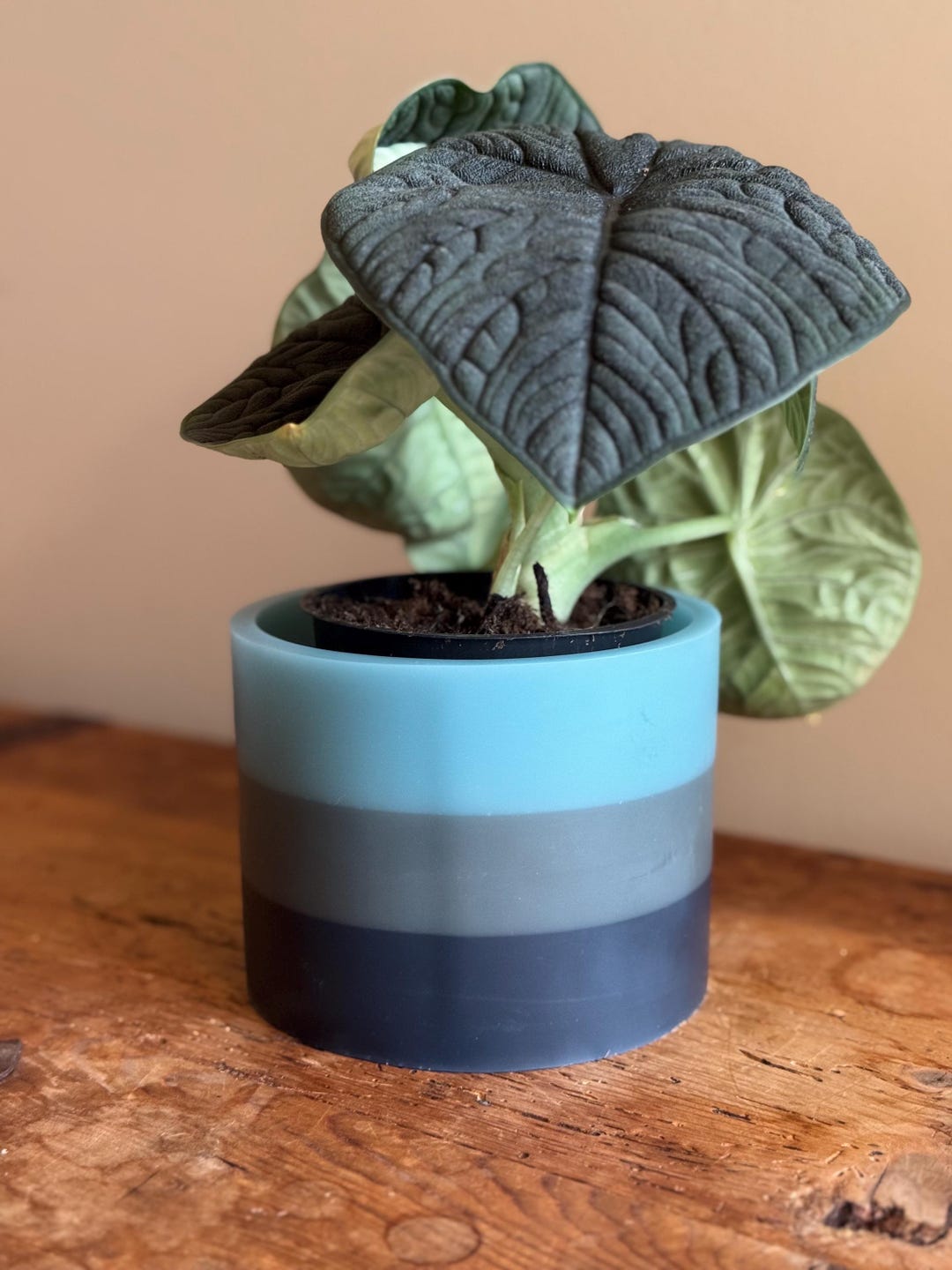 Slate Blue Gradient Planter - Etsy