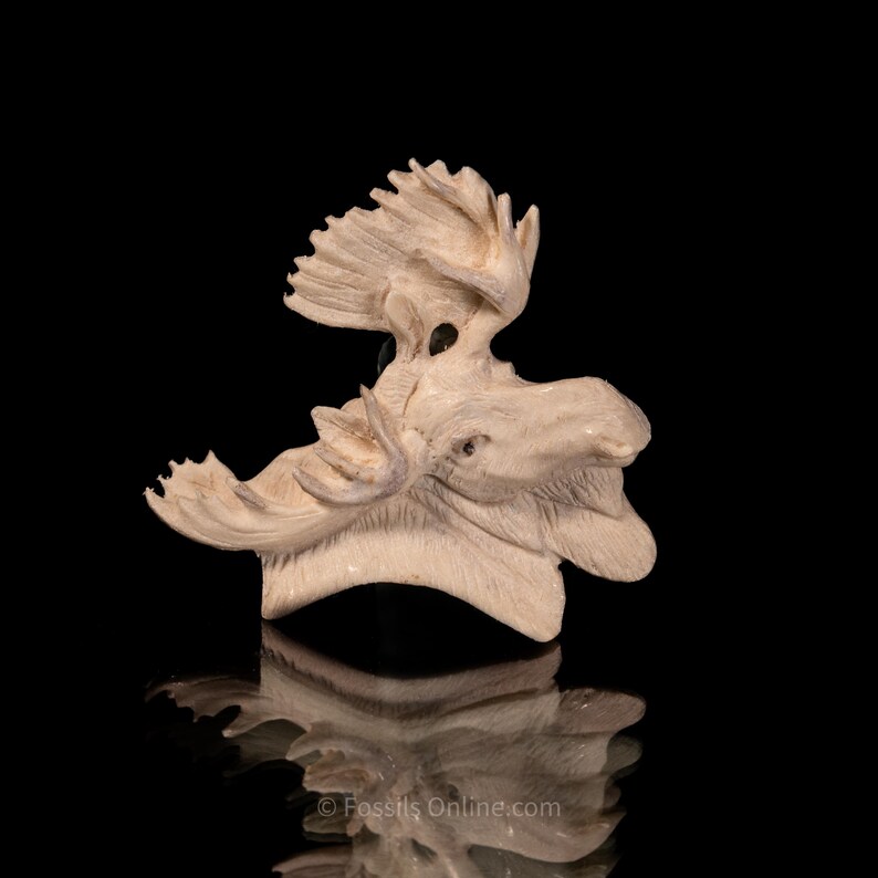 Moose Head Carved From Moose Antler - Etsy